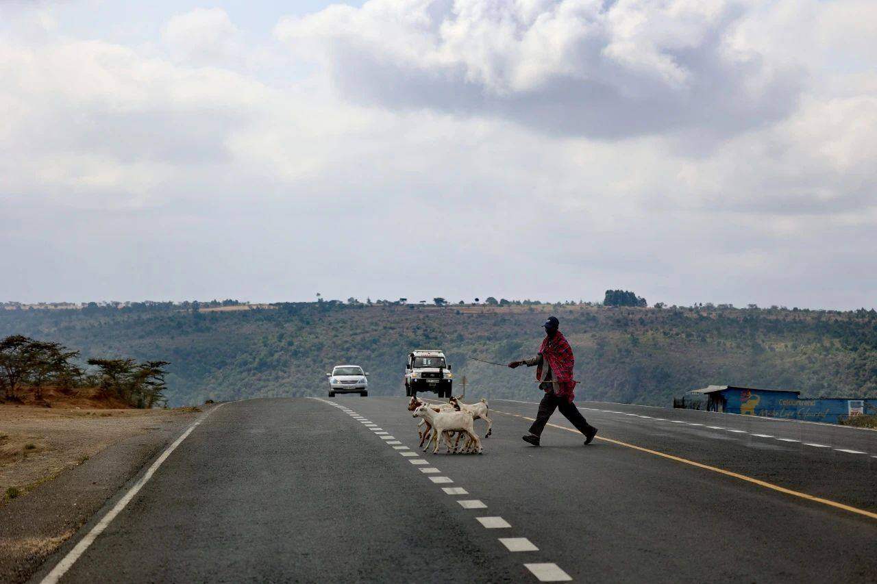 大咖进校园｜神奇动物在这里！一起来听听雪豹的故事！ – 厦门华锐莱普顿学校